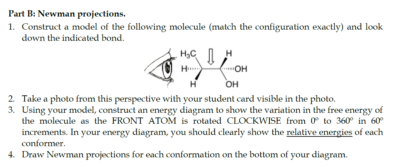 Solved Part B: Newman projections. 1. Construct a model of | Chegg.com