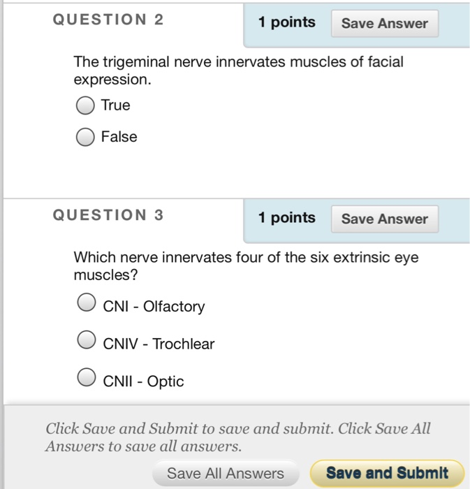 Solved QUESTION 2 1 points Save Answer The trigeminal nerve | Chegg.com