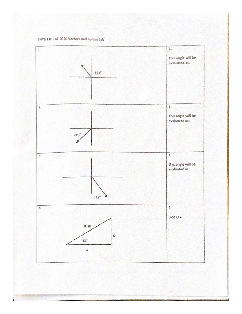 Solved PHYS 110 Fall 2020 Vectors and Forces Lab 1 This | Chegg.com