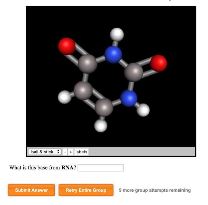 Solved ball & stick - + labels What is this base from RNA? | Chegg.com Solved ball & stick - + labels What is this base from RNA? | Chegg.com
