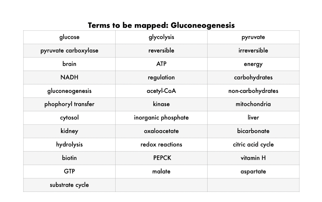 Glycolysis And Gluconeogenesis Concept Map