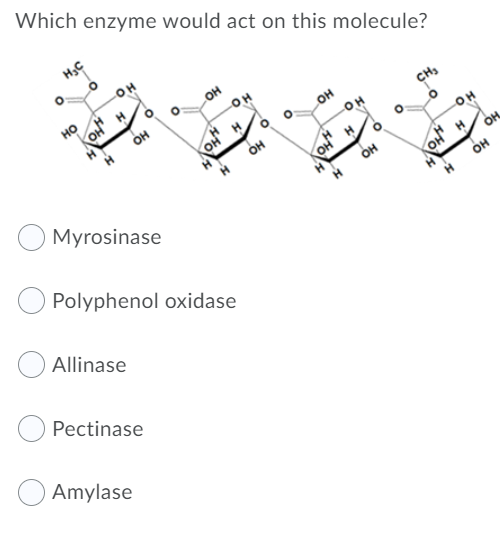 Solved Which enzyme would act on this molecule? не CH, он O | Chegg.com
