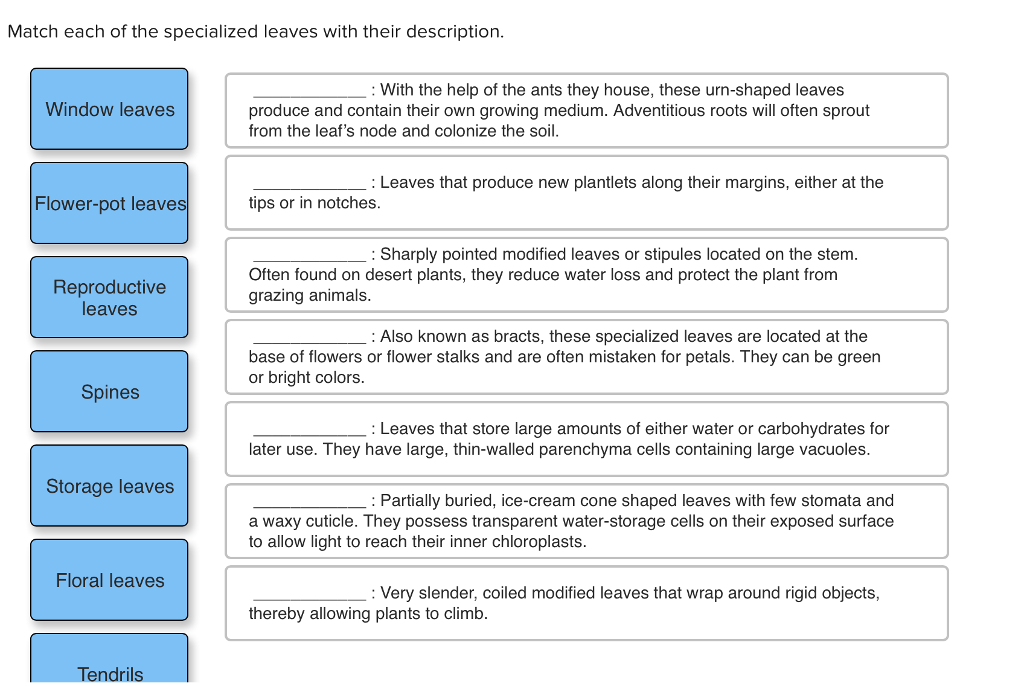 Solved Match each of the specialized leaves with their | Chegg.com