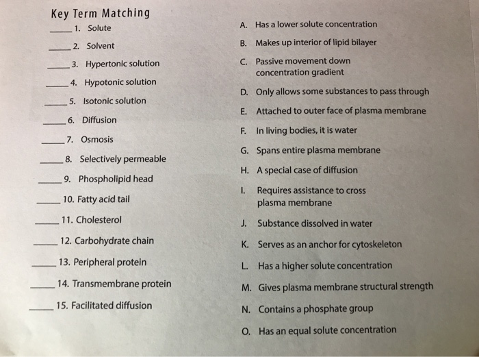 Solved Key Term Matching Has a lower solute concentration . | Chegg.com