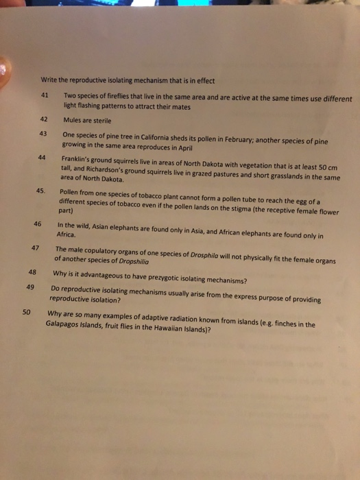 Behavioral Isolation Fireflies