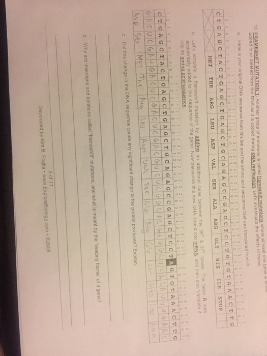 Solved FRAMESHIFT MUTATION 1: Another group of mutations is | Chegg.com
