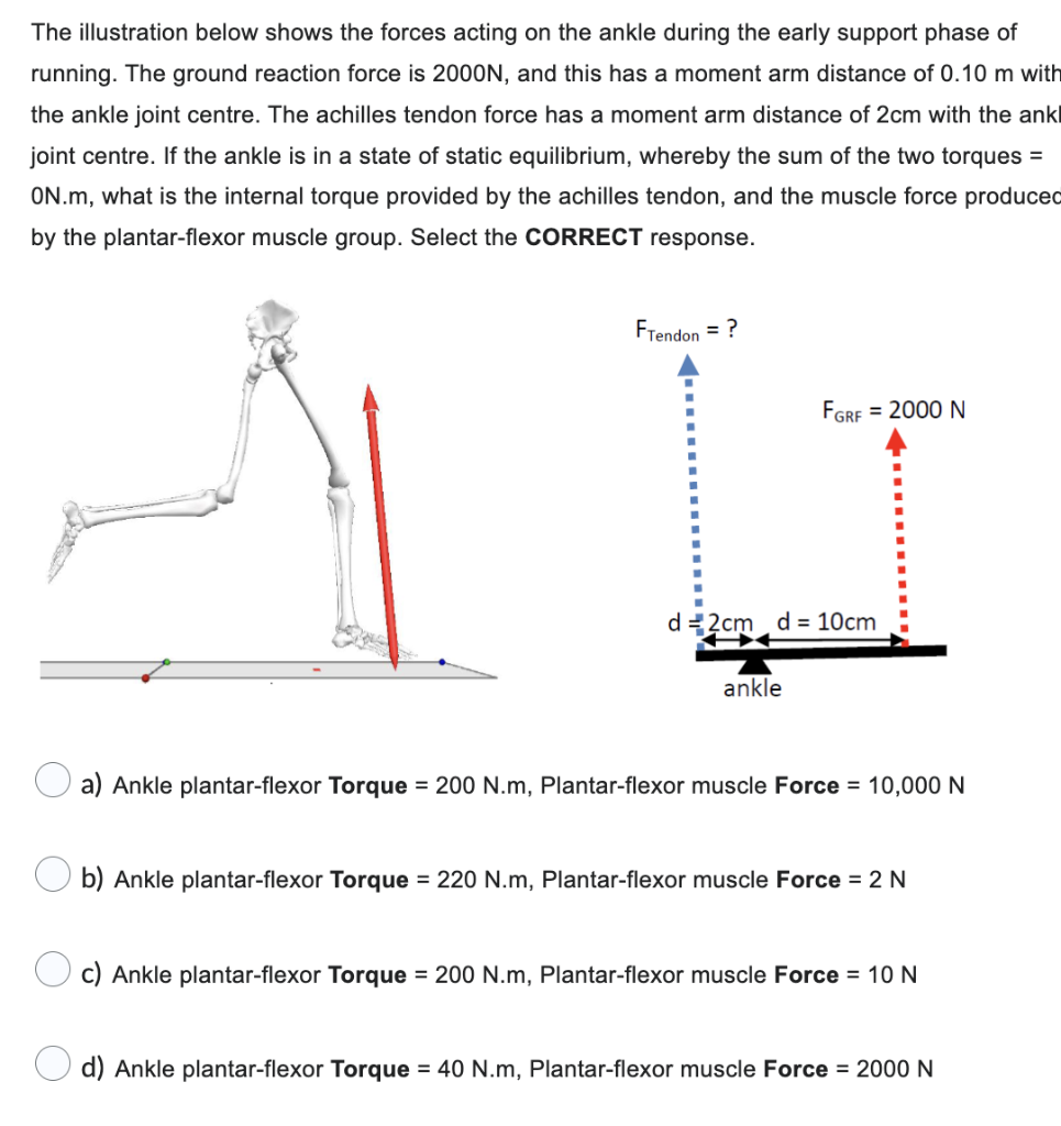 Solved The illustration below shows the forces acting on the | Chegg.com