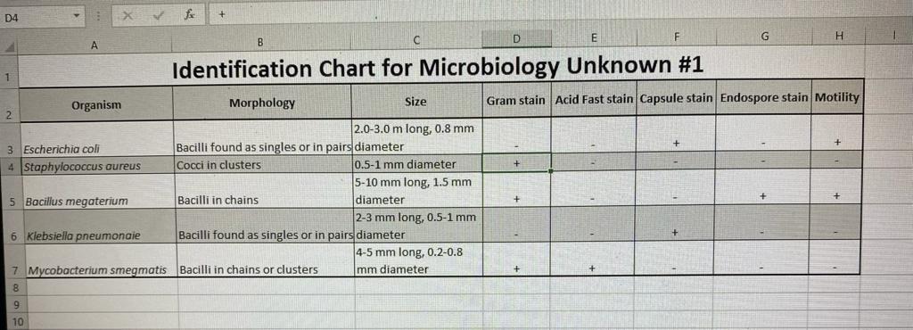 Capsule Stain ResultsIdentification Chart for | Chegg.com
