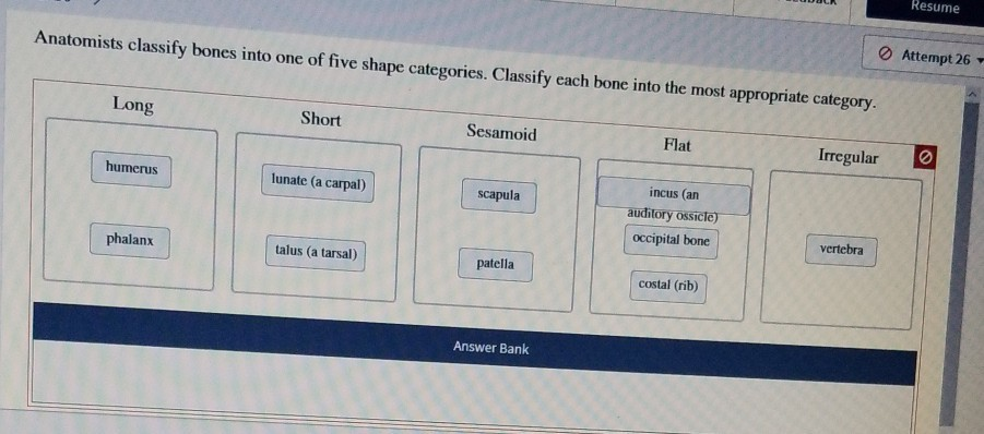 Solved Resume Attempt 26 Anatomists classify bones into one | Chegg.com