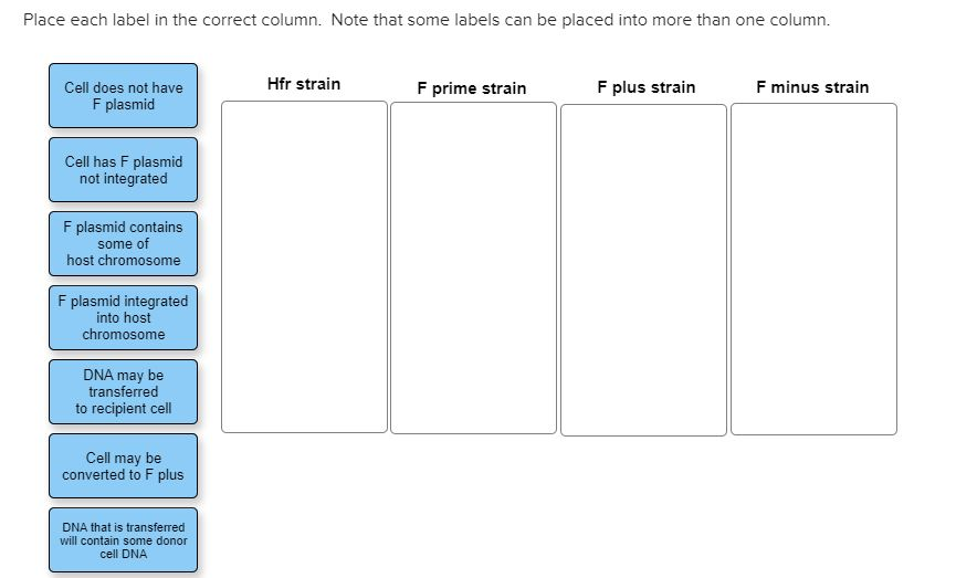 Solved Place each label in the correct column. Note that | Chegg.com