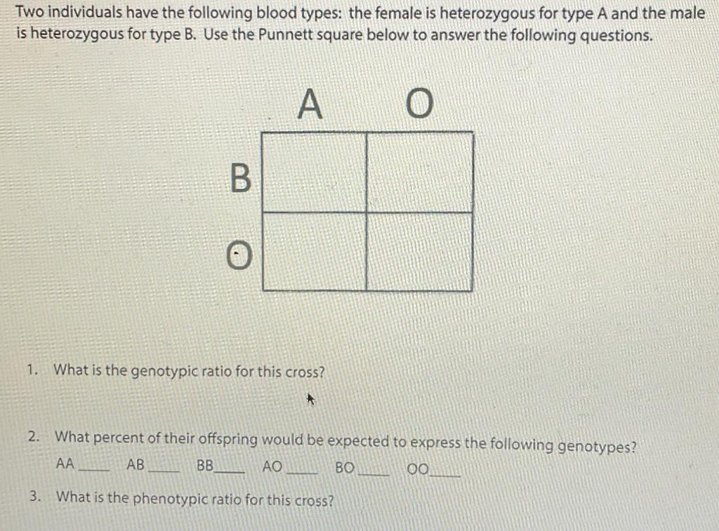Solved Two individuals have the following blood types: the | Chegg.com