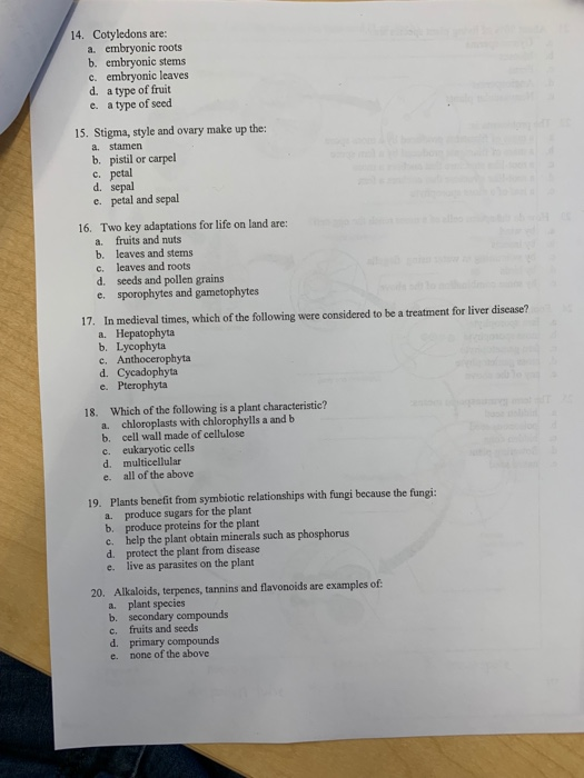 Solved 14. Cotyledons are: a. embryonic roots b. embryonic | Chegg.com