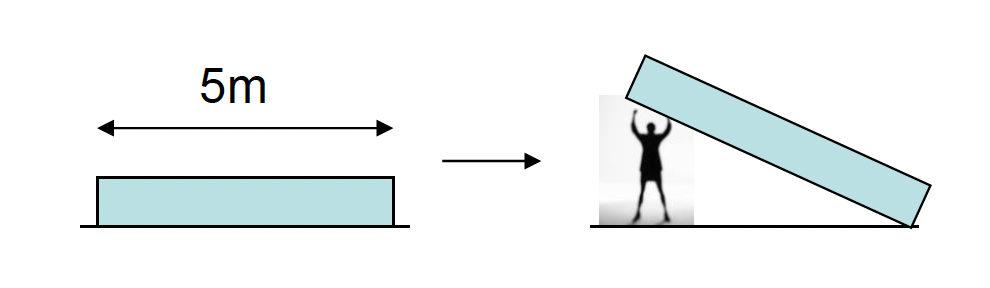 Solved 1. A 5 meter tall tree falls in your driveway. | Chegg.com