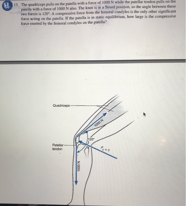 Solved The quadriceps pulls on the patella with a force of | Chegg.com