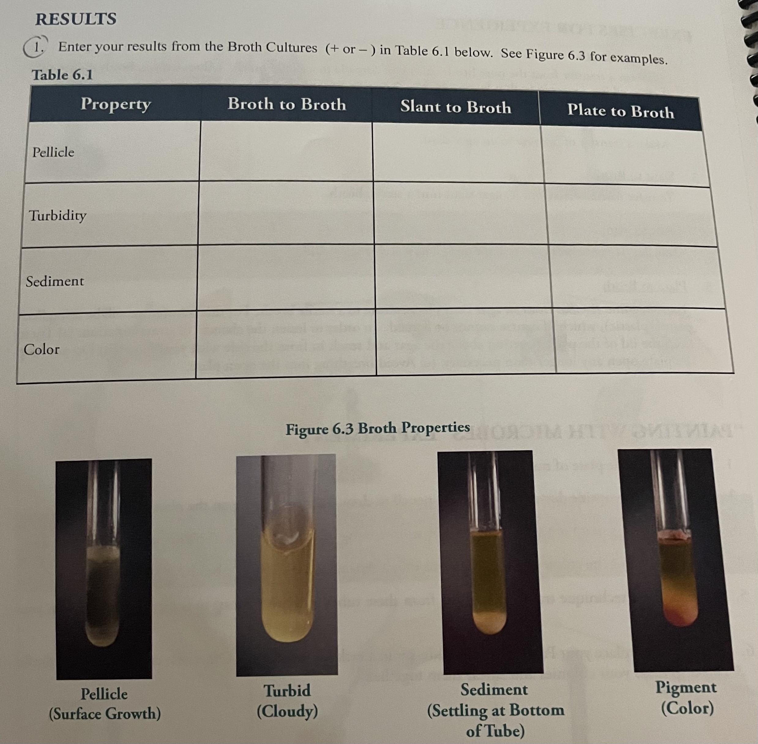 Solved 1. Enter your results from the Broth Cultures (+ or - | Chegg.com