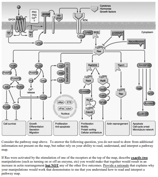 Solved Cytokines Hormones Growth factors PKC PKA GPCR GBY GO | Chegg.com