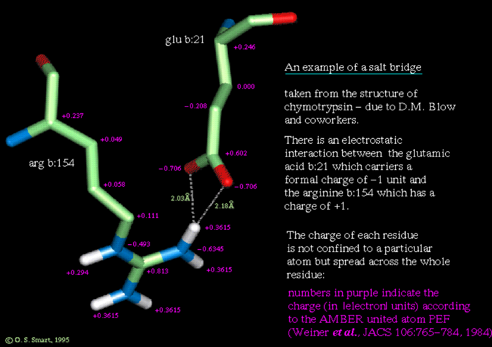 At a protein-protein interface there is a salt bridge | Chegg.com