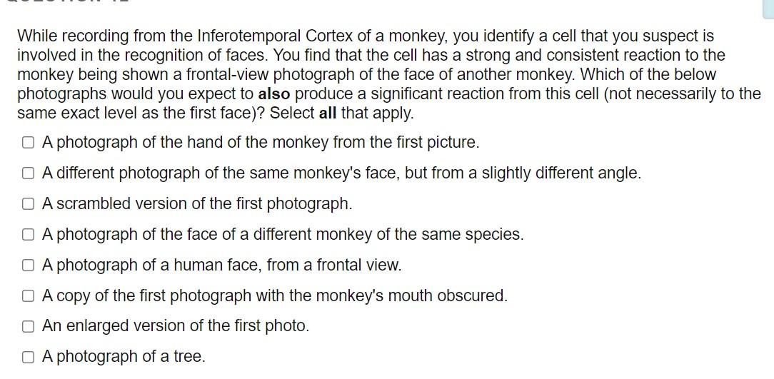Solved While Recording From The Inferotemporal Cortex Of A