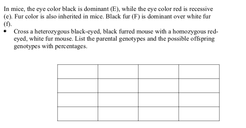 Solved In mice, the eye color black is dominant (E), while | Chegg.com