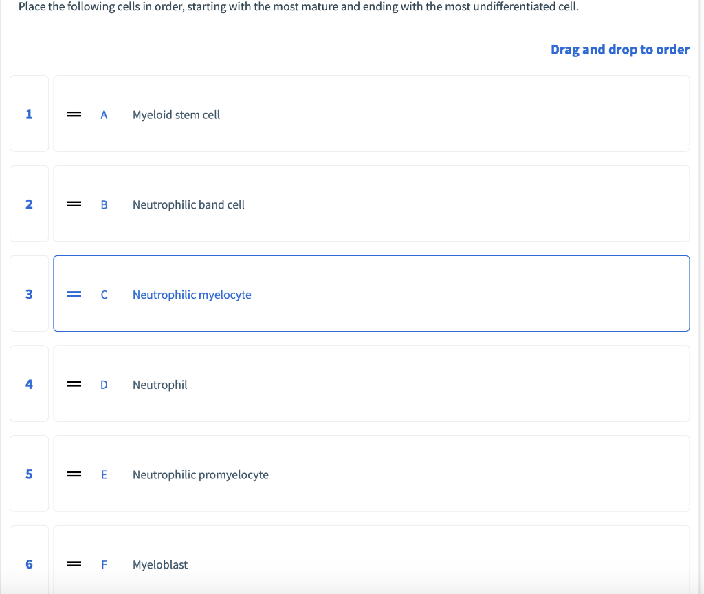 Solved Place the following cells in order, starting with the | Chegg.com