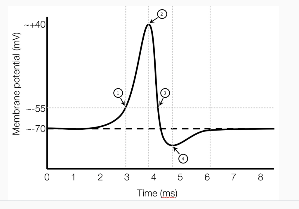 Solved At which of the labeled points on this graph is the | Chegg.com