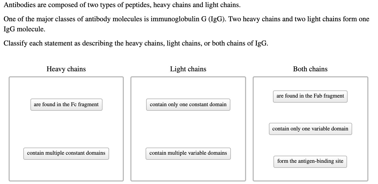 Solved Antibodies are composed of two types of peptides, | Chegg.com