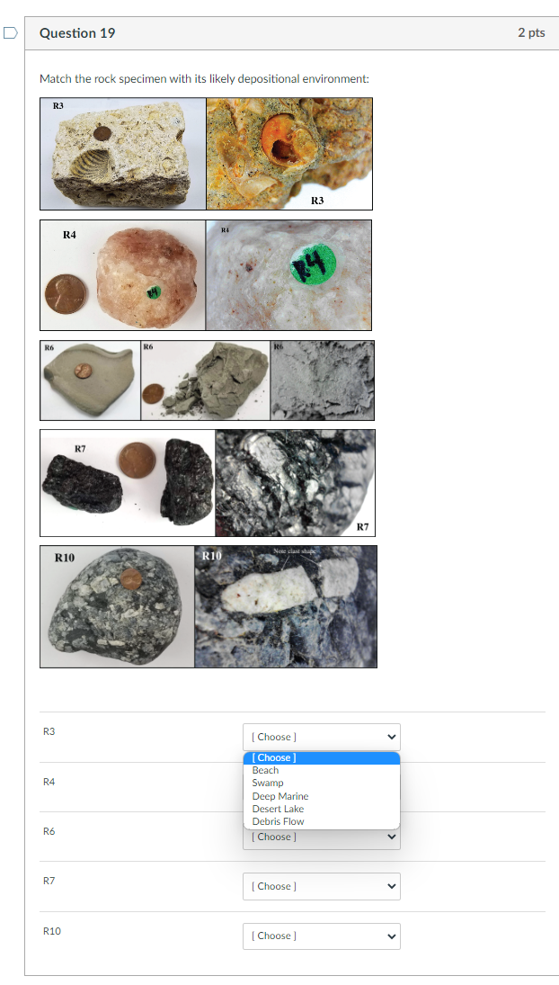 Solved Match the rock specimen with its likely depositional | Chegg.com