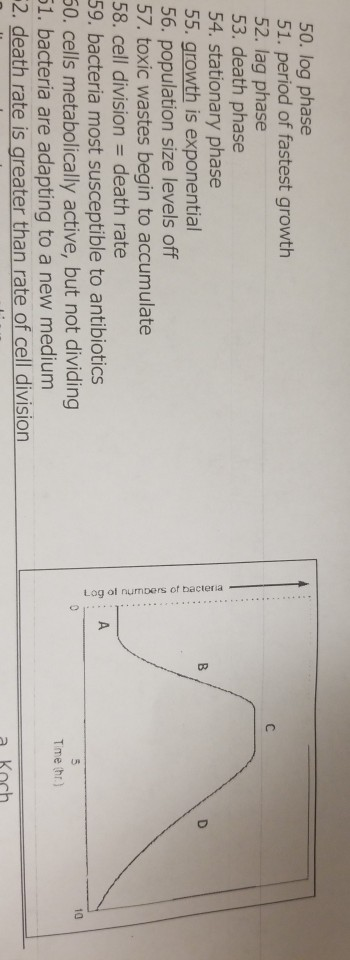 Solved 50. log phase 51. period of fastest growth 52. lag | Chegg.com