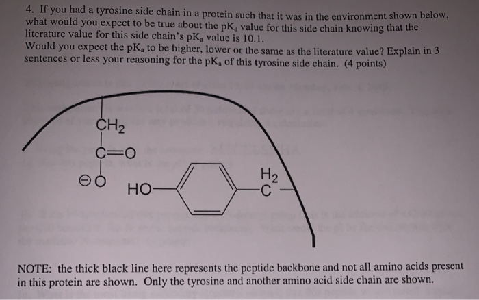 Solved 4. If you had a tyrosine side chain in a protein such | Chegg.com