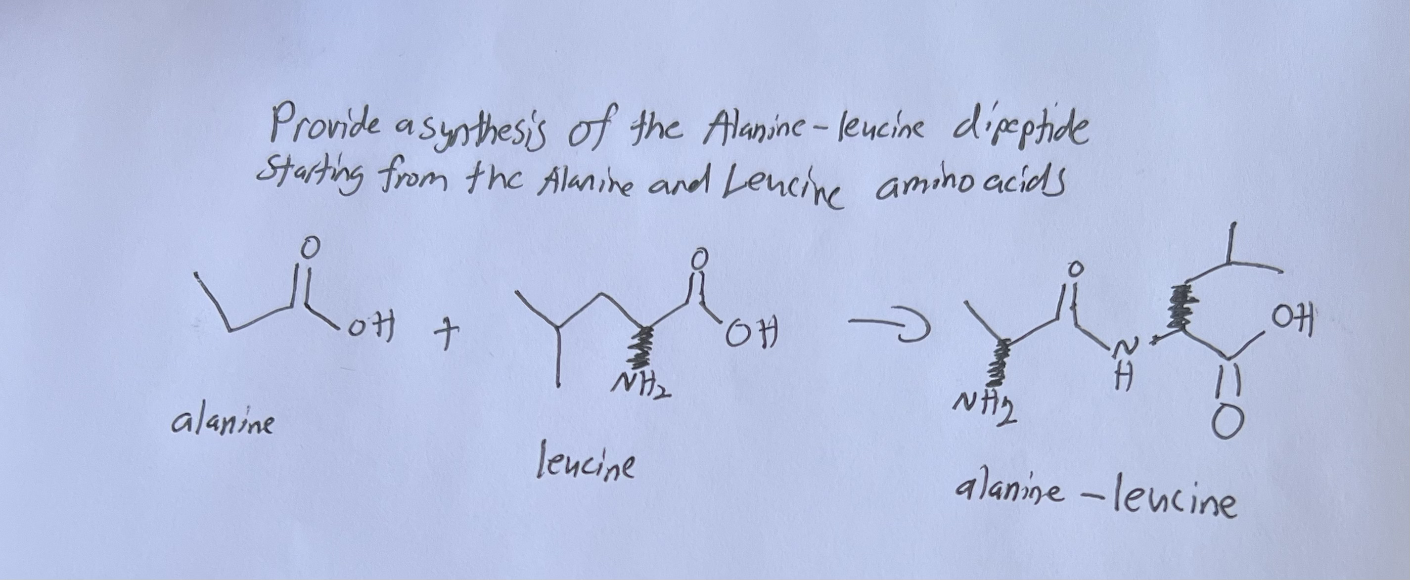 Solved provide a synthesis of the Alanine-leucine dipeptide | Chegg.com