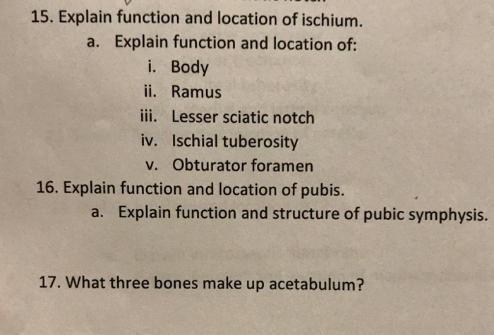 Solved 15. Explain function and location of ischium. a. | Chegg.com