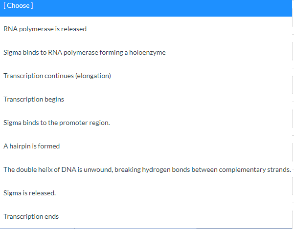 Solved [Choose] RNA polymerase is released Sigma binds to | Chegg.com