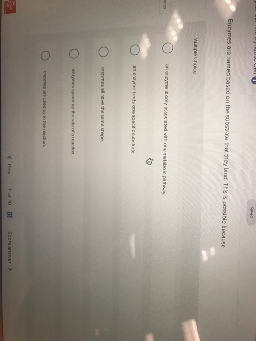 Solved s are named based on the substrate that they bind. | Chegg.com