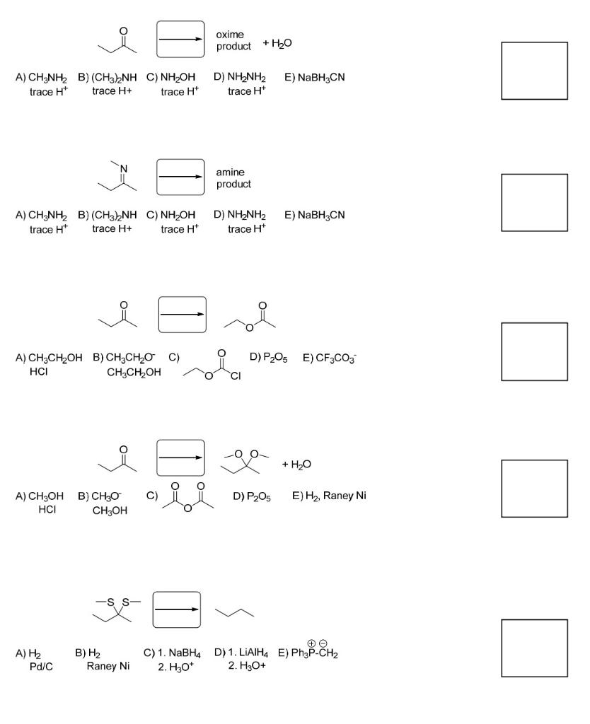 Solved A) CH3NH2 B) (CH3)2NH C) NH2OH D) NH2NH2 E) NaBH3CN | Chegg.com