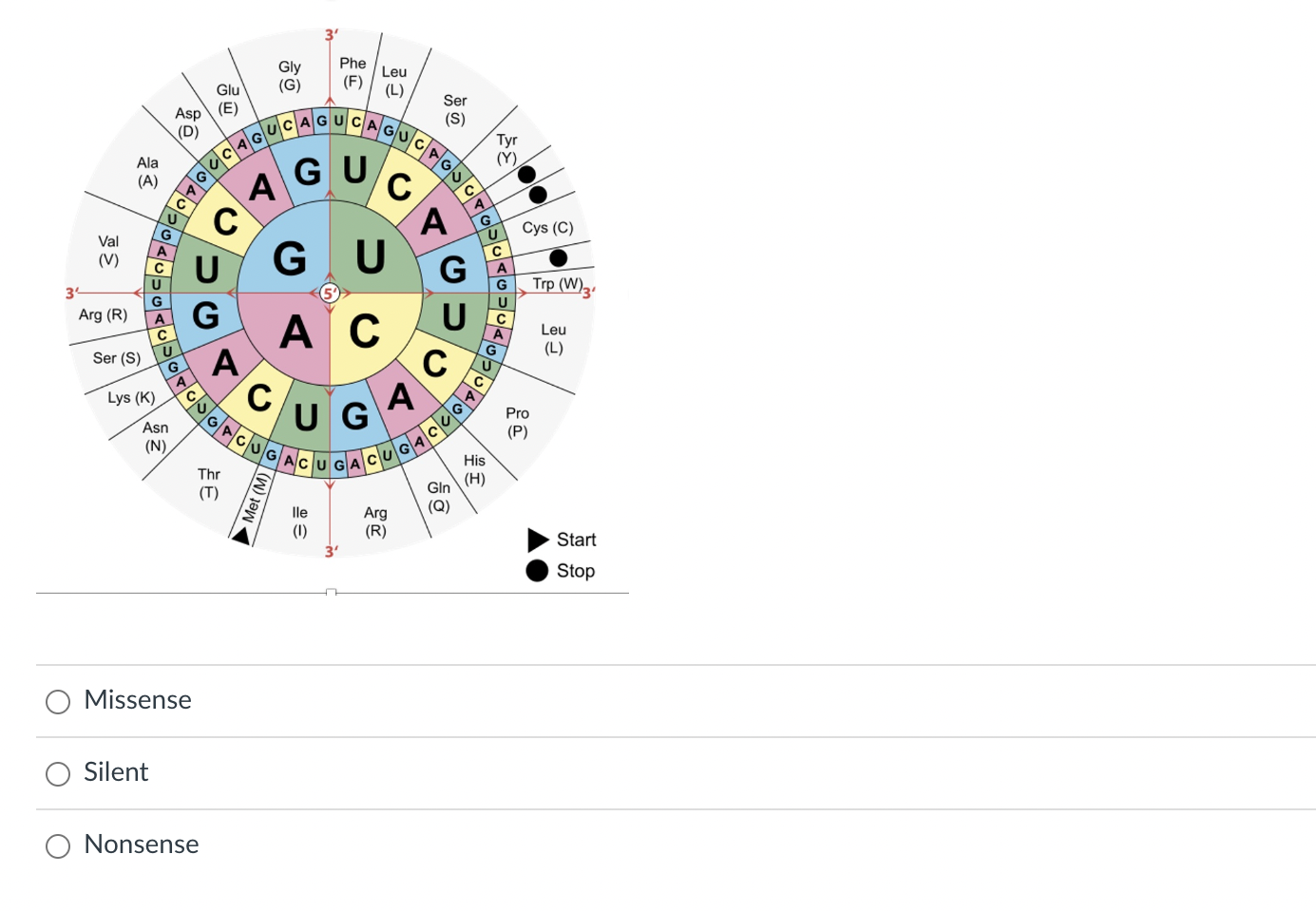 Solved The DNA sequence that encodes amino acid #53 of | Chegg.com