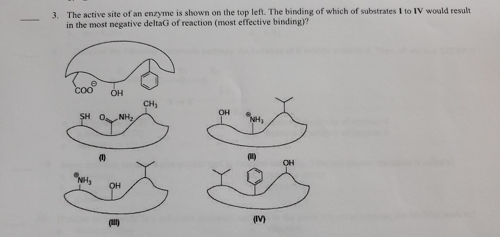 Solved can you olease give a detailed answer as to why the | Chegg.com
