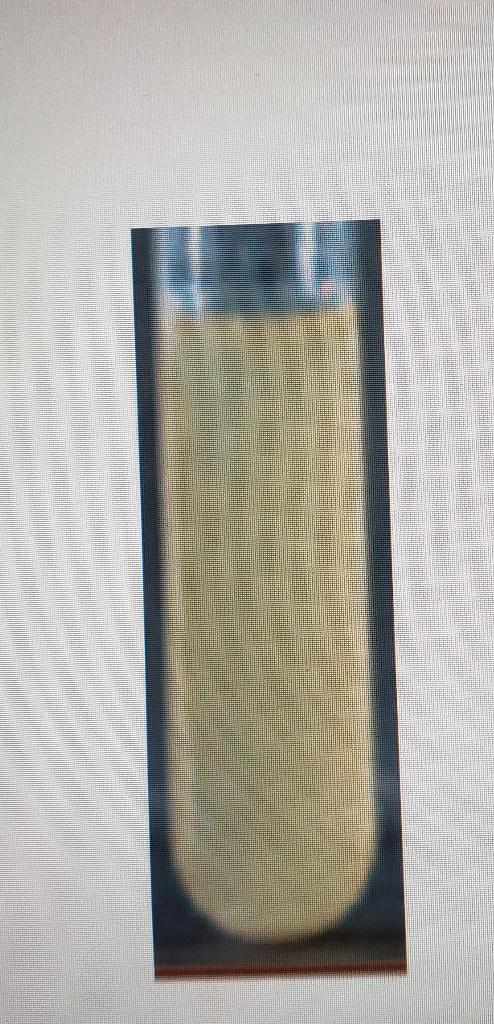 Solved According to the above result of Broth Growth | Chegg.com