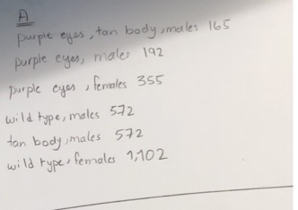 Solved Part A Data set A summarizes F2 numbers from a cross | Chegg.com