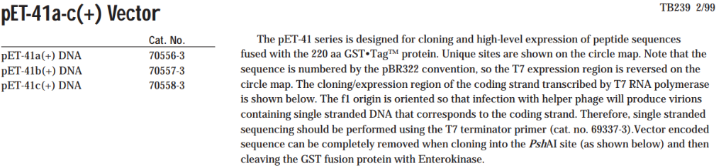 Solved When you go to cut the vector with NdeI and SpeI how | Chegg.com