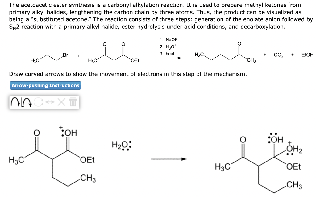 Solved The acetoacetic ester synthesis is a carbonyl | Chegg.com