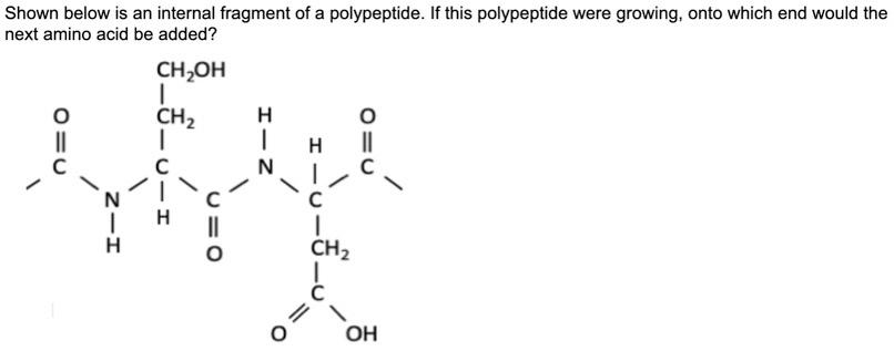 Solved Shown below is an internal fragment of a polypeptide. | Chegg.com