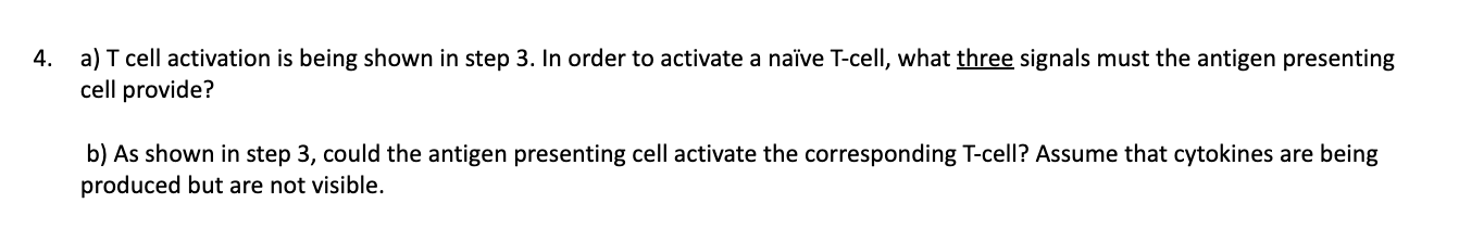 Solved Module 1 - Antigen presentation and T-cell | Chegg.com