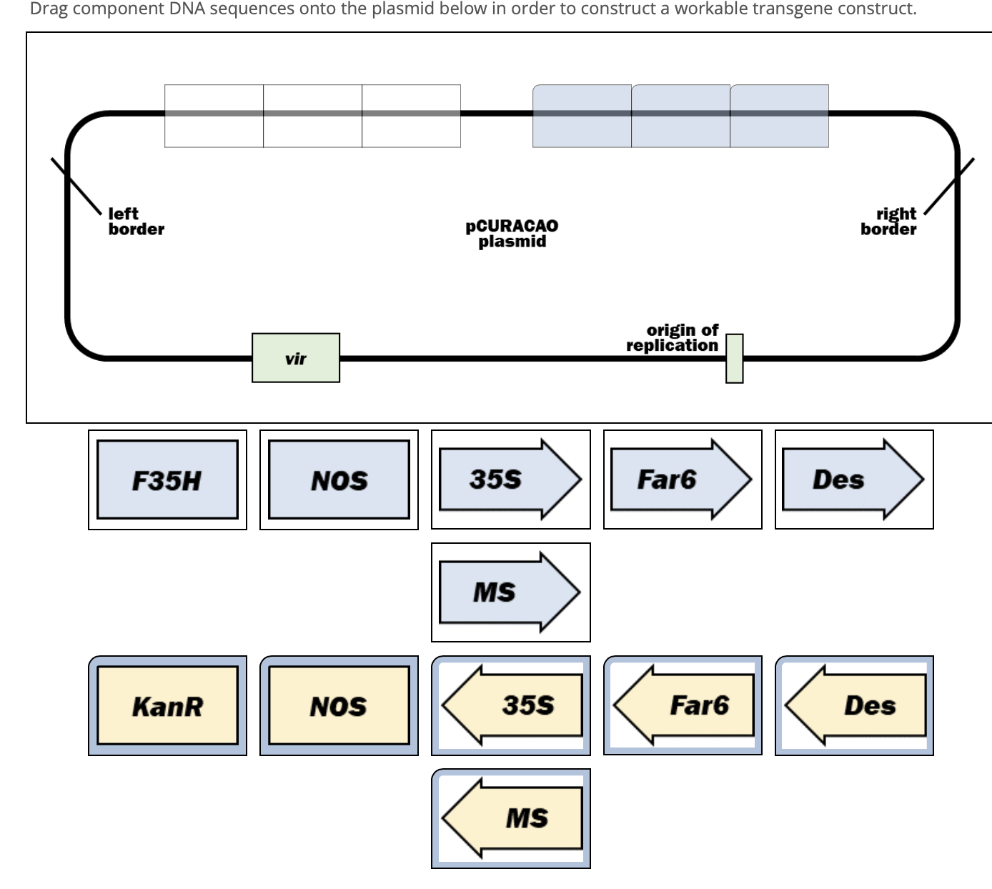 Solved Drag component DNA sequences onto the plasmid below | Chegg.com