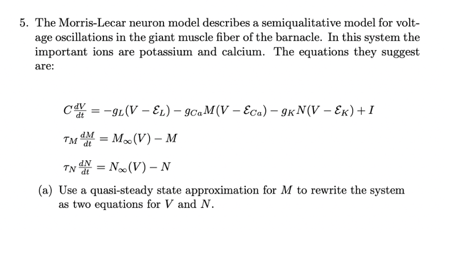 Solved 5. The Morris-Lecar neuron model describes a | Chegg.com