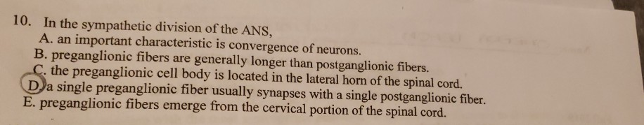 Solved A) somatic motor nerves innervate smooth muscle. B. | Chegg.com Solved A) somatic motor nerves innervate smooth muscle. B. | Chegg.com