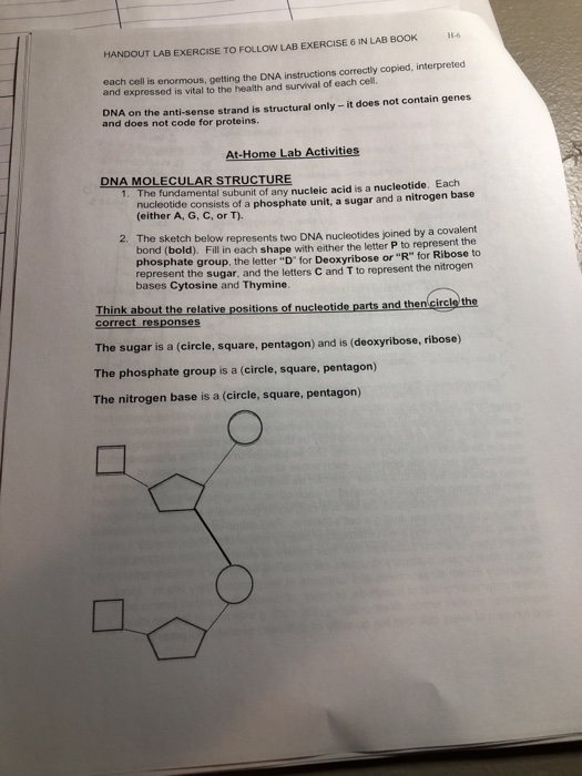 Solved 18-6 HANDOUT LAB EXERCISE TO FOLLOW LAB EXERCISE 6 IN | Chegg.com Solved 18-6 HANDOUT LAB EXERCISE TO FOLLOW LAB EXERCISE 6 IN | Chegg.com