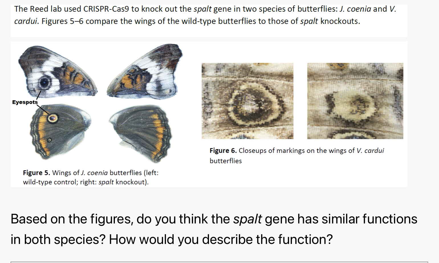 Solved The Reed lab used CRISPR-Cas9 to knock out the spalt | Chegg.com