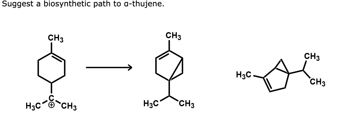 Solved Suggest a biosynthetic path to a-thujene. CH3 CH3 CH3 | Chegg.com
