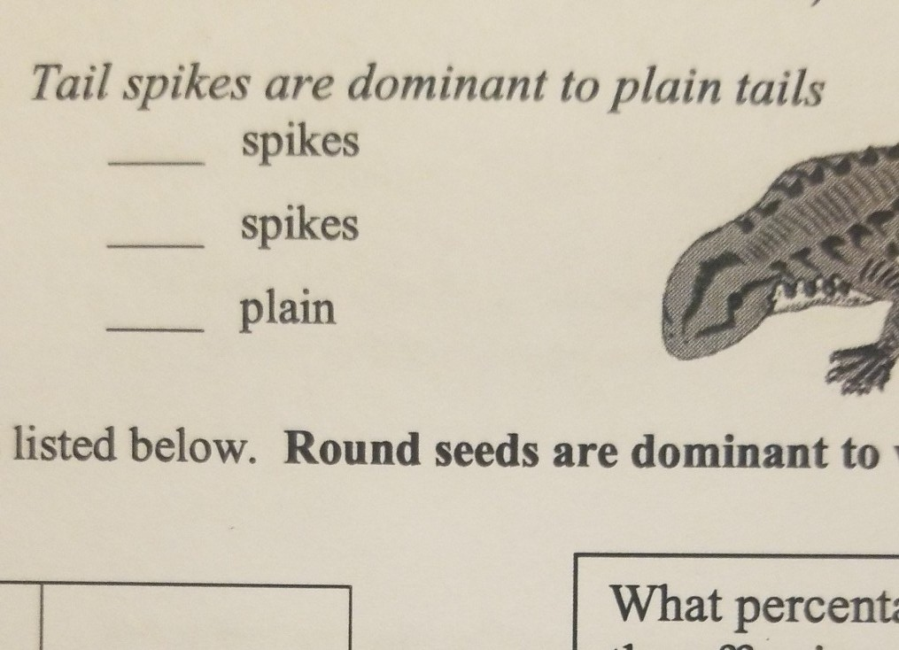 Solved Tail spikes are dominant to plain tails spikes spikes | Chegg.com