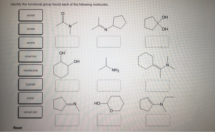 Solved Identify the functional group found each of the | Chegg.com Solved Identify the functional group found each of the | Chegg.com